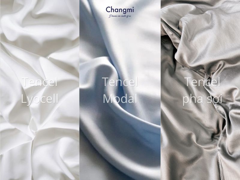 How many types of Tencel fabric are there? Compare Lyocell, Modal and ...